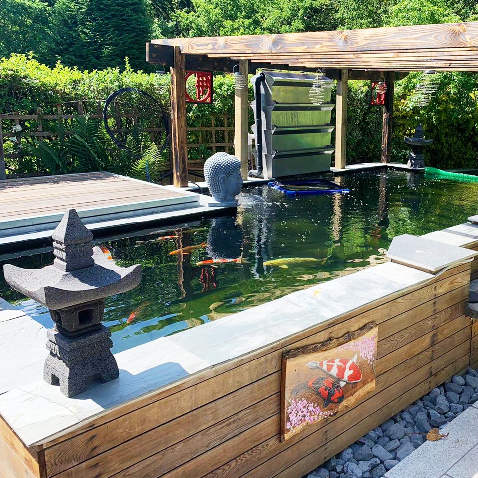 TMW Pond Services – Pond Designer